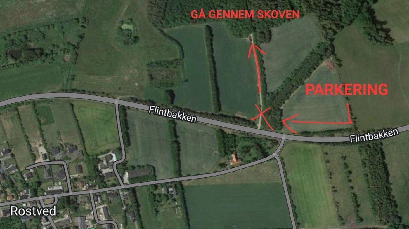 Det praktiske - Psykologen i Skoven